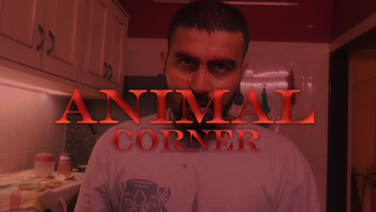 Animal Post Credit Scene #animalpark - YouTube