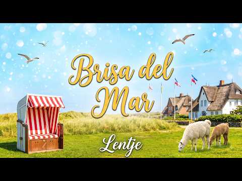 Liebe, Meer und ein unvergesslicher Sommer – Sommerwind über den Dünen