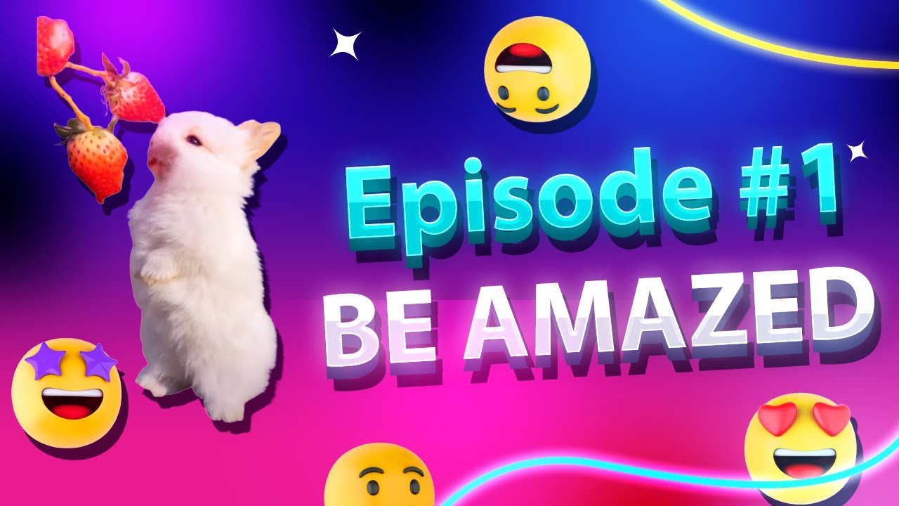 Be Amazed #1| #FUNNY | Funny animals - YouTube