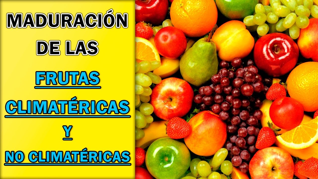 Frutas Climatéricas y No Climatéricas - Maduración De Las Frutas - YouTube