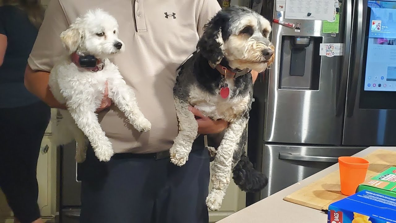 a other Ssundee vid intro - YouTube