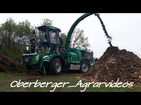 Käfer Holz Hacken mit Albach Diamant 2000// Firma Lumberjack NRW - YouTube