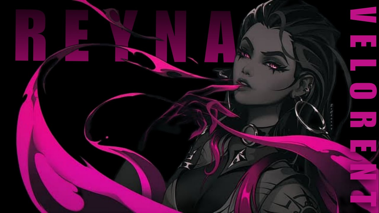 VELORENT LIVE STREAM INDIA WITH LONG RUDDER - YouTube