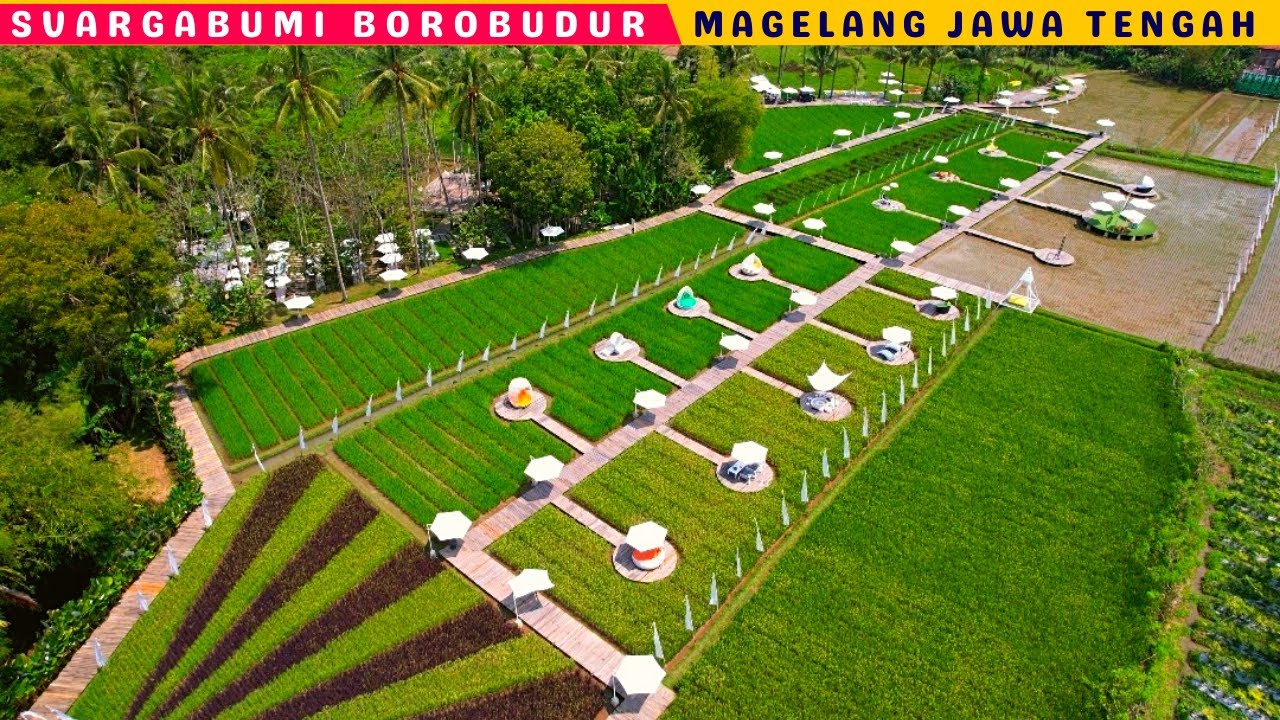 SVARGABUMI BOROBUDUR || Nuansa Keindahan Alam Persawahan Dengan Spot ...
