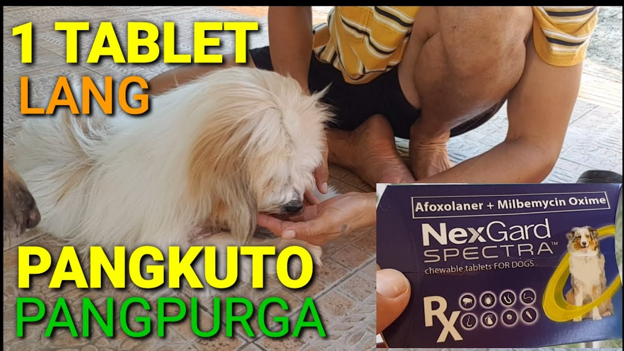 Pinainom Ko Na Naman Ng Tableta Na Pangprevent o Pangpatay Ng Kuto Ang ...