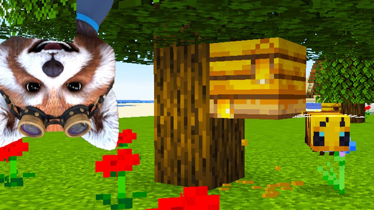 🔴[LIVE] NEBUNIA DE DIMINEATA CU NOCIVANU' BARBASANU' ! - YouTube