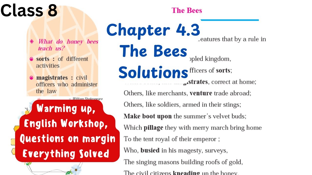 The Bees | Chapter 4.3 | English class 8 | Solutions | state board ...