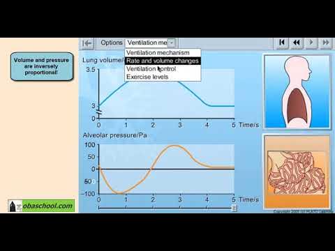 GCSE Biology Revision - Organising Animals and Plants - Breathing and ...