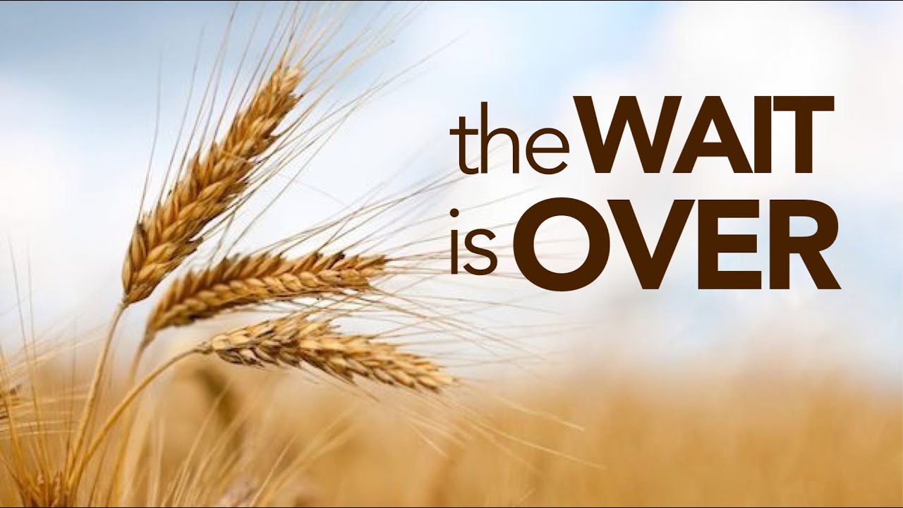 "The Wait Is Over" - Bishop Jonathan Shaw - YouTube