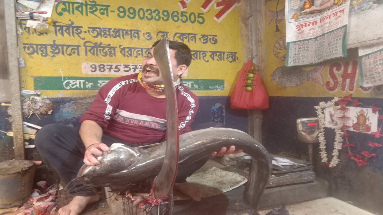 26kg বোয়াল মাছ কাটিং|26 Kg Wallago Attu Boal Fish Cutting | Boal Fish ...