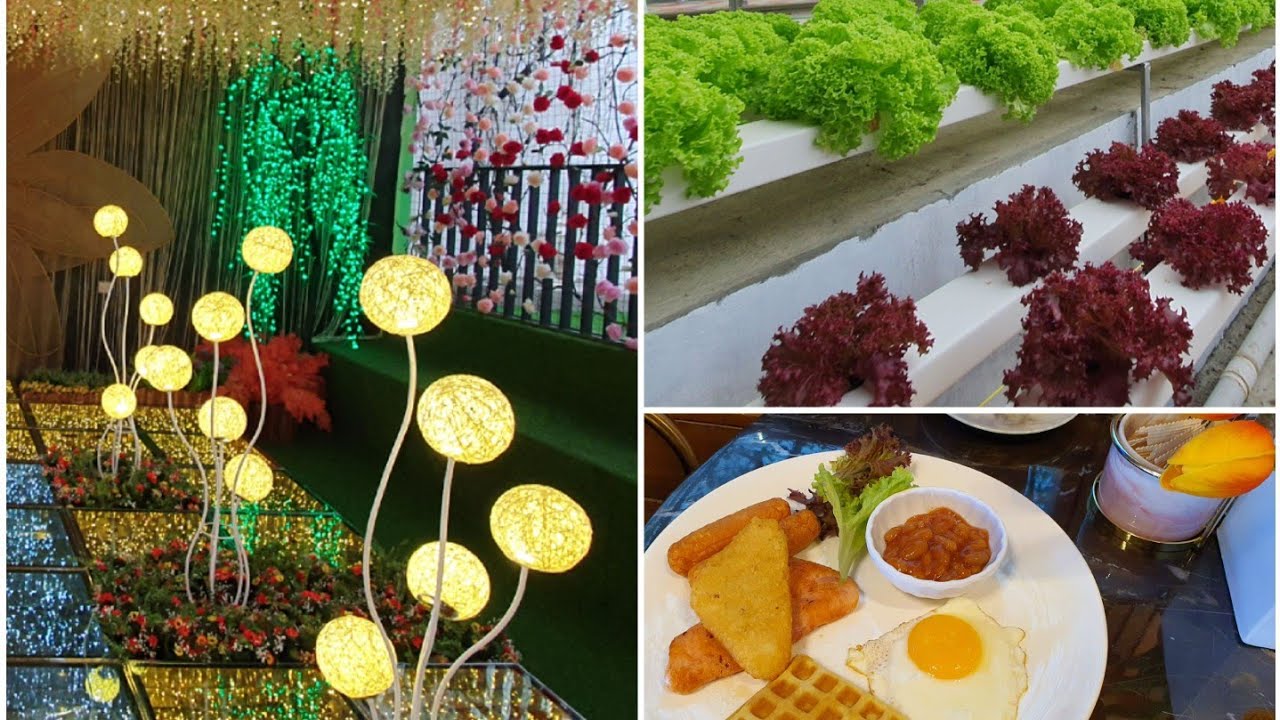 Hooga Cafe & Kundasang Farm Ville - YouTube