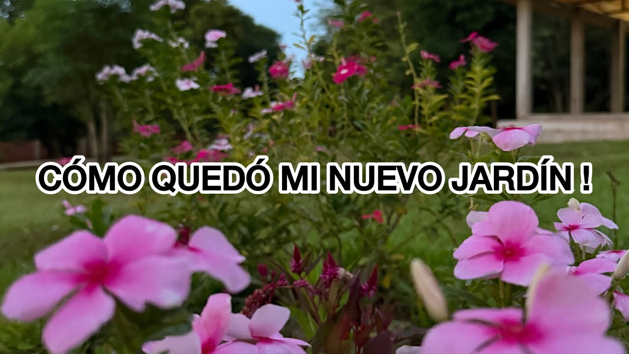 Creando y ordenando mi chacra paso a paso.... - YouTube