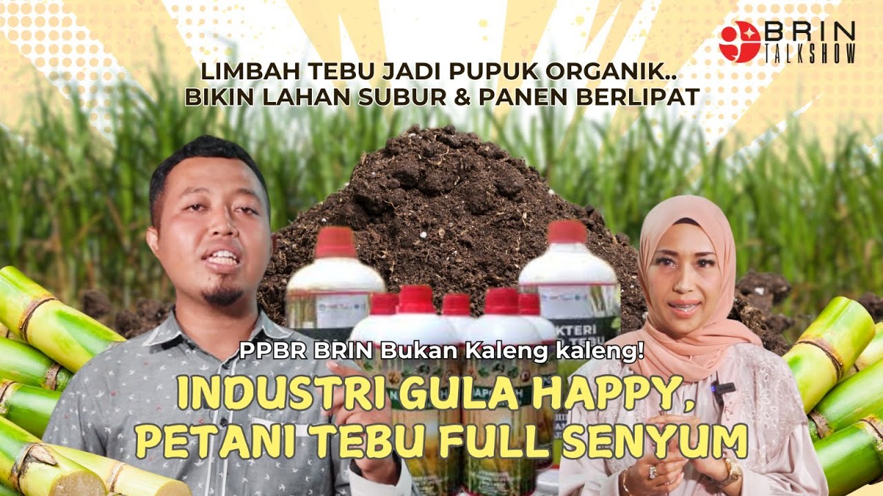 Limbah Tebu jadi Pupuk Organik.. Industri Gula Happy, Petani Tebu Full ...