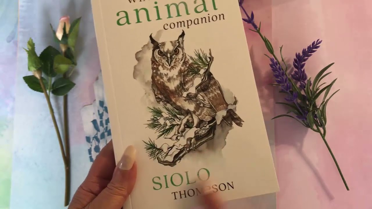 Winterseer Animal Oracle Review & Walk-Through.... - YouTube