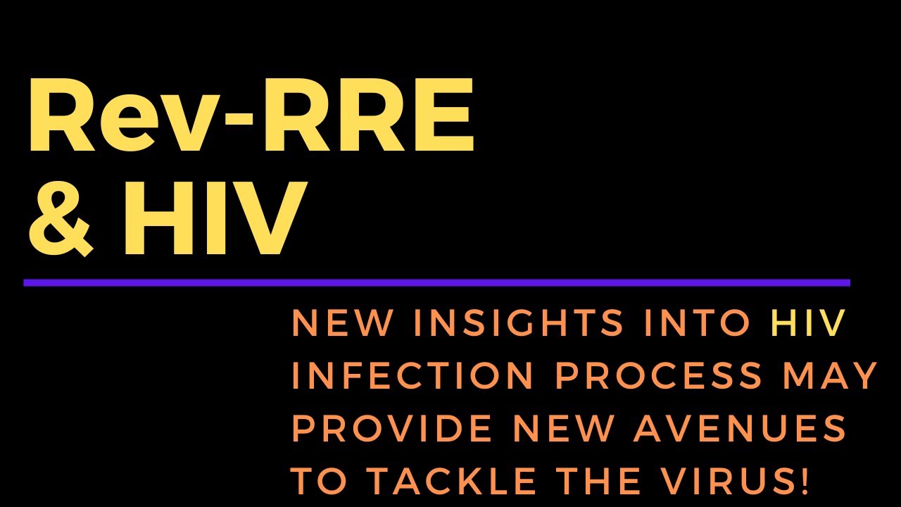 New breakthrough in HIV. UVA scientists find Rev-RRE activity levels ...