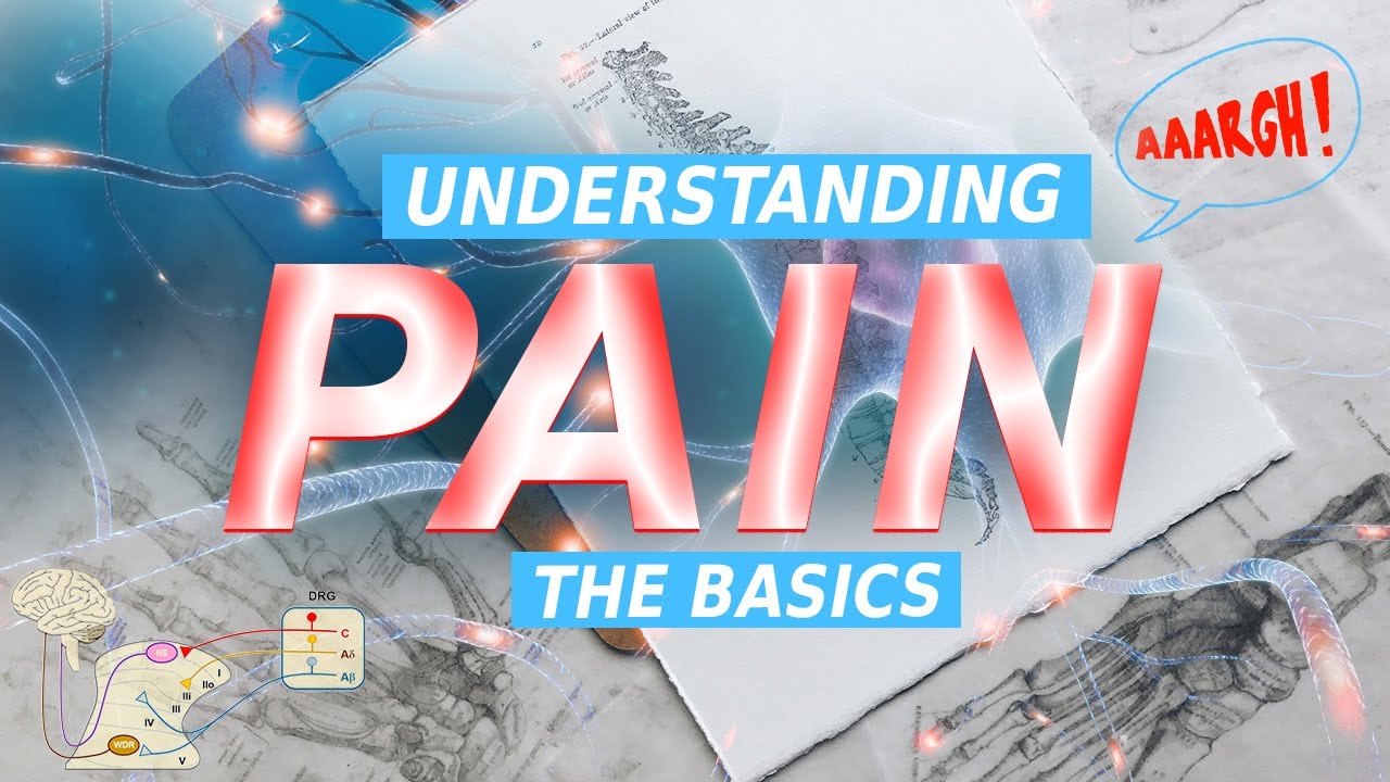 Understanding Pain: The Science Behind How it Works in our Body - YouTube