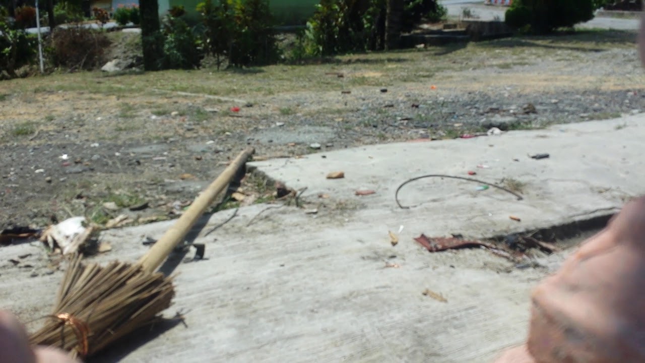 Bunga tumbuh pelik - YouTube