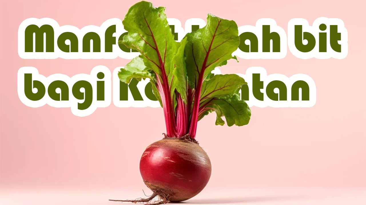 Manfaat Buah Bit bagi Kesehatan [Urgen] - YouTube