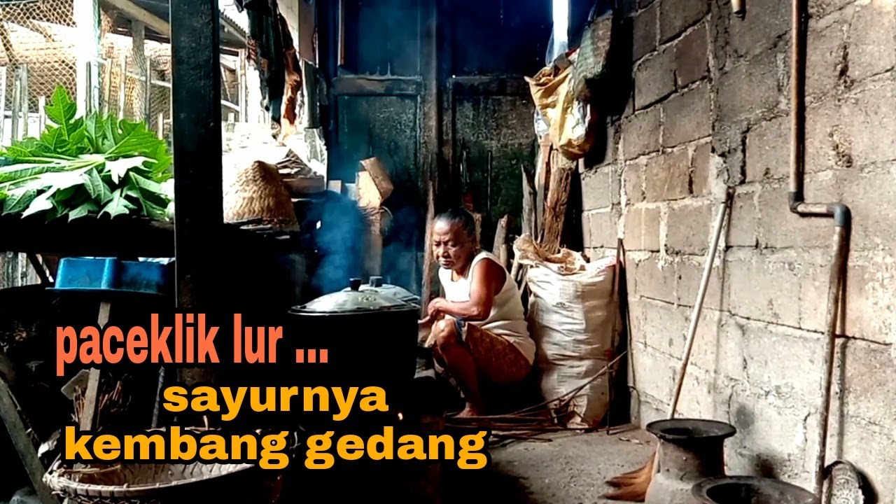 Paceklik lur 😭 masak sayur kembang gedang hidup di desa sudah cukup ...