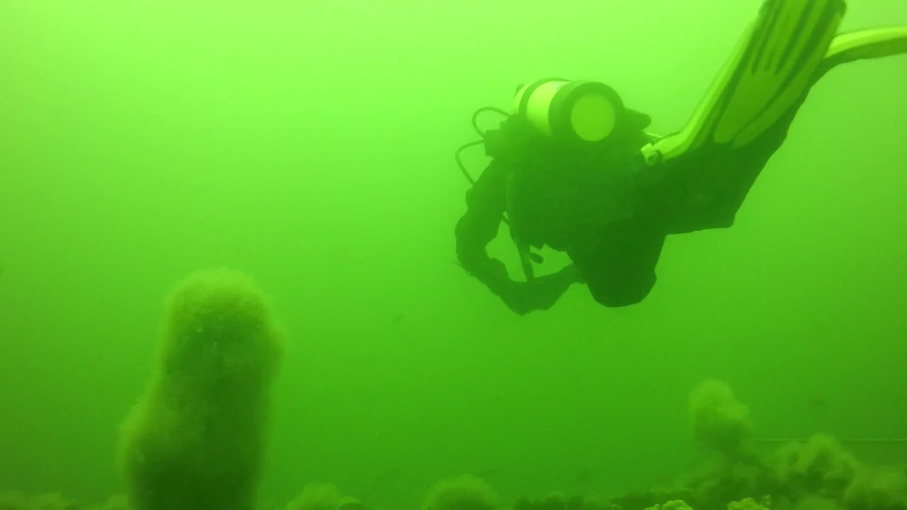 Scuba diving the Chester Poling, wreck - YouTube
