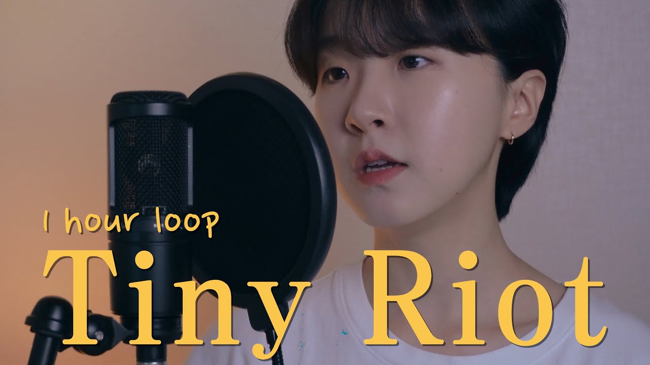 🔊1 hour loop | Sam Ryder - Tiny Riot (Dabin Cha cover) - YouTube