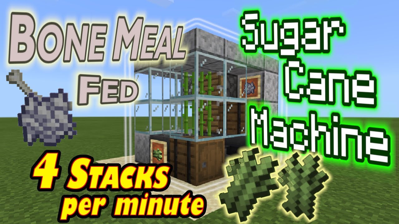 Sugar Cane Farm Minecraft