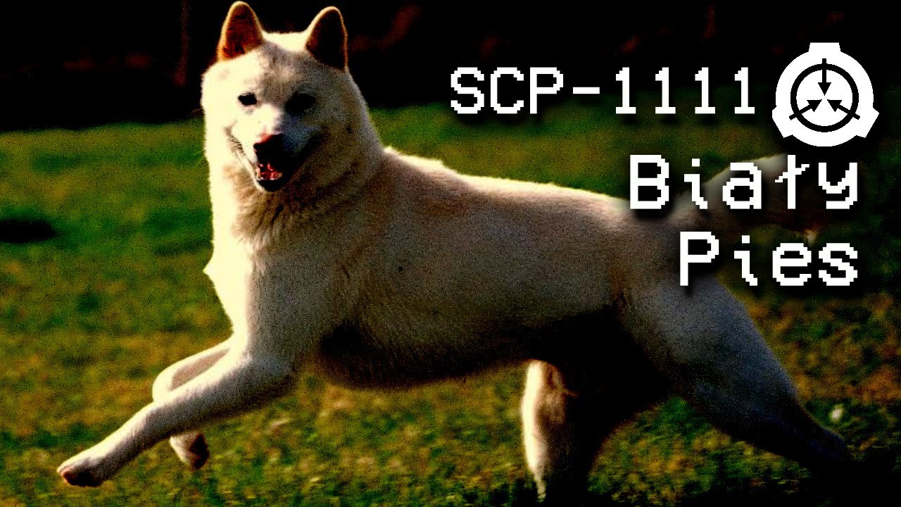 SCP-1111 "Biały Pies" : Klasa Podmiotu - Euclid : Duchowy SCP - YouTube