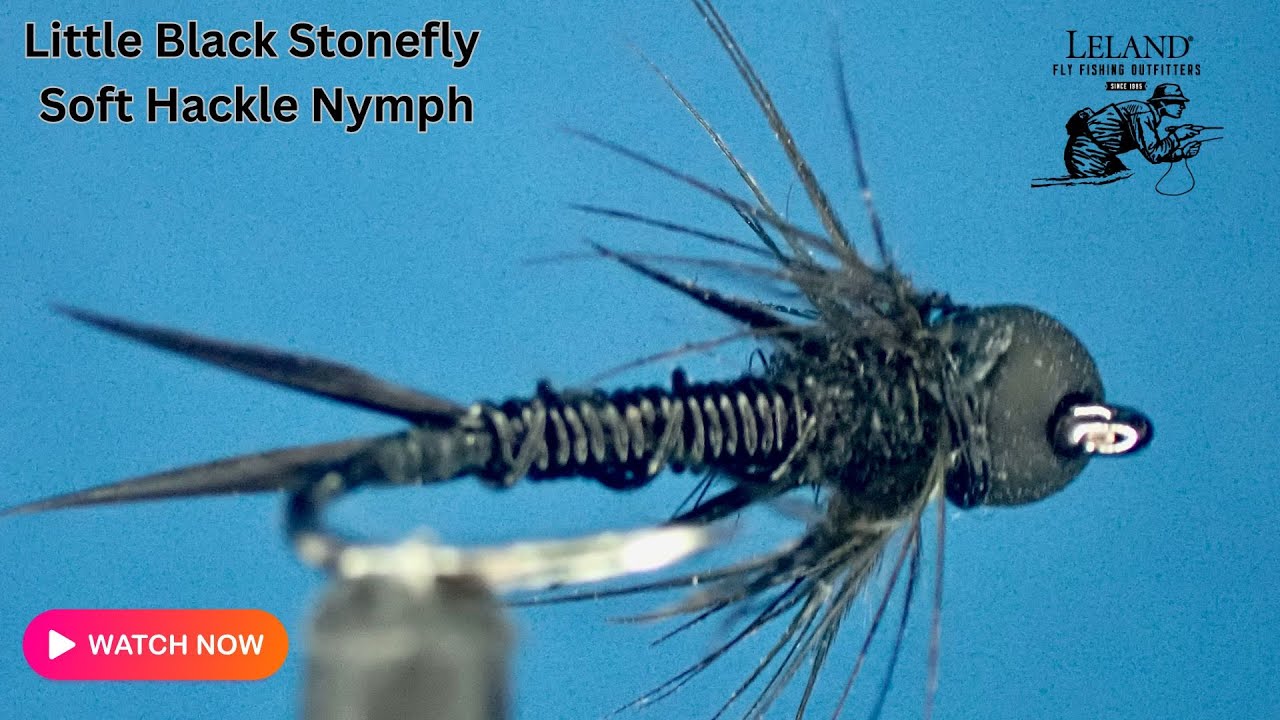 Tie the Perfect Little Black Stonefly Soft Hackle Nymph - YouTube