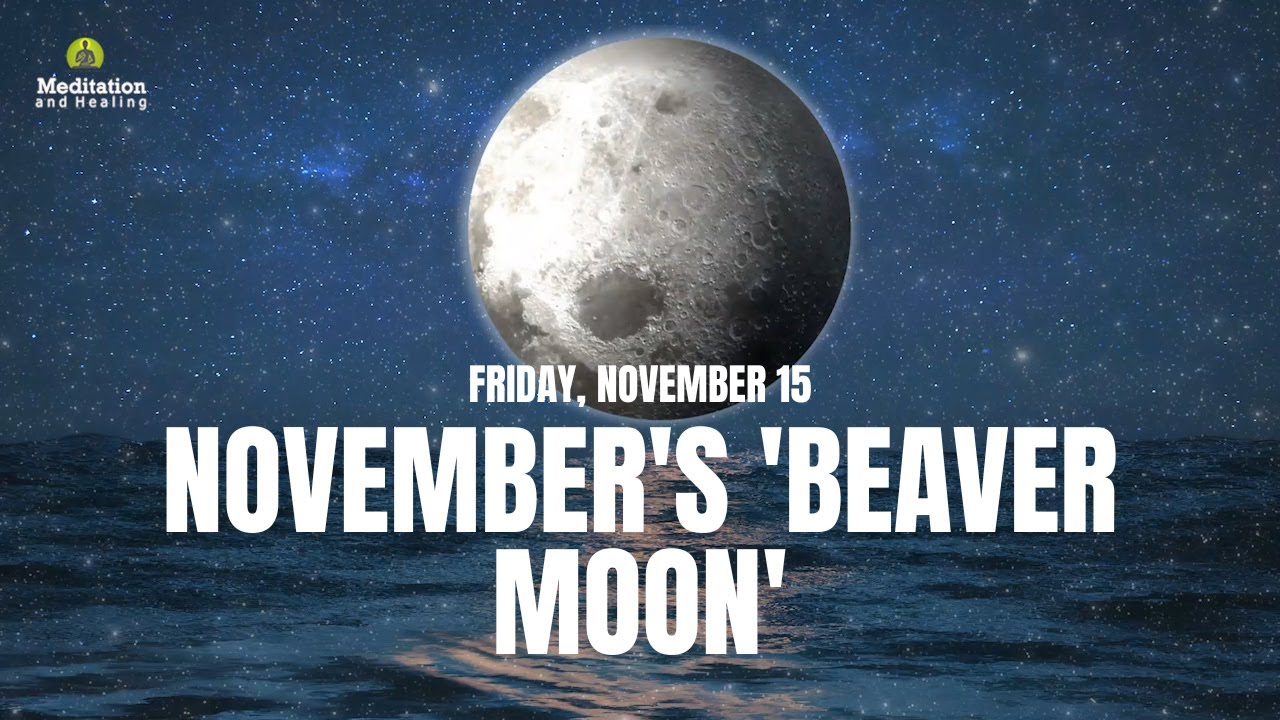 Full Moon Manifestation l November's 'beaver moon' l Manifest Anything ...