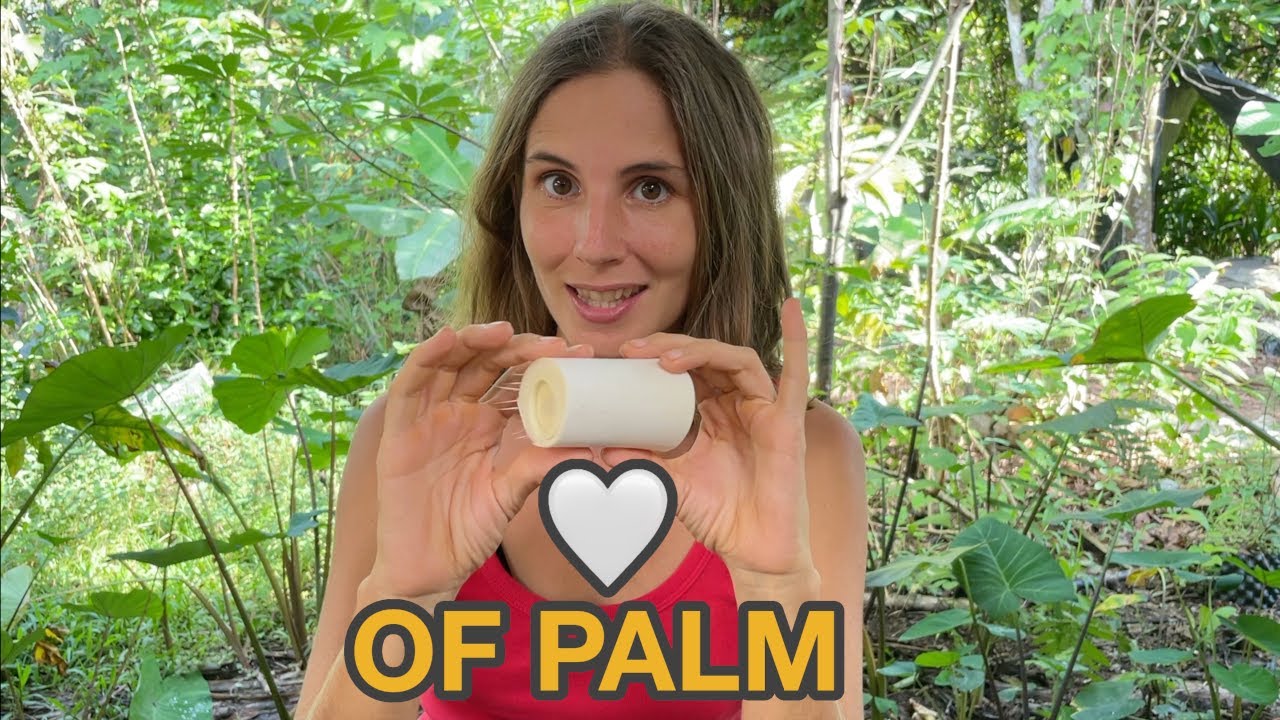 HARVESTING Heart of Palm in our Tropical Food Forest - YouTube