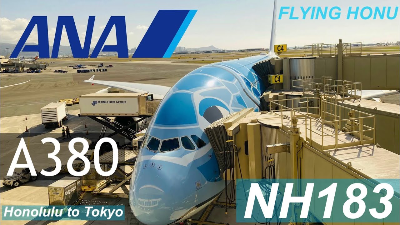 [TRIP REPORT] All Nippon Airways Flight 183 - Airbus A380-800 ...