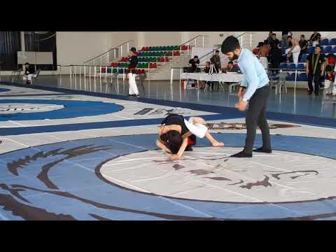 Semkir Alpaqut filiali Eliyar Eliyev Qursaq sistemi final