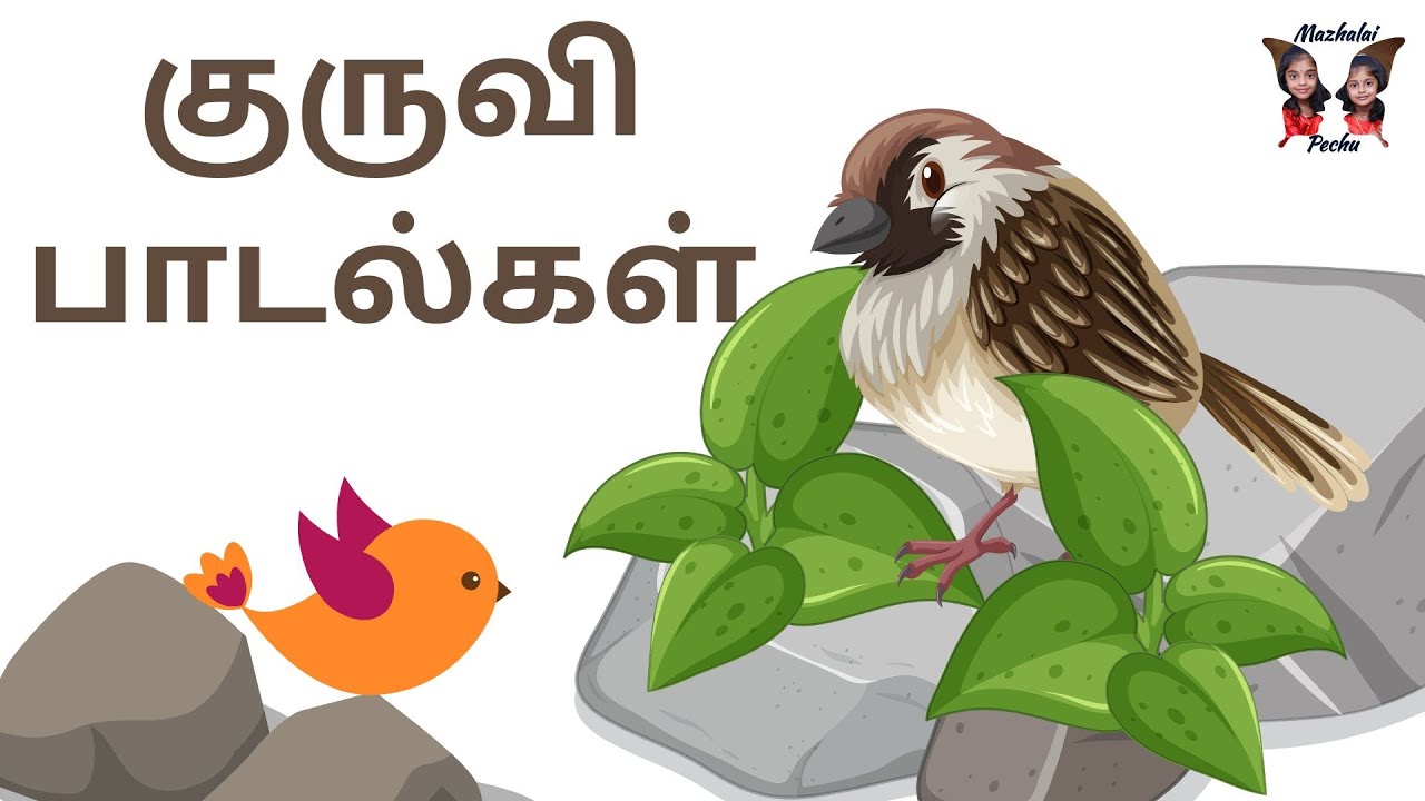 குருவி பாடல்கள் | Tamil Rhymes | Chittu Kuruvi Song - YouTube