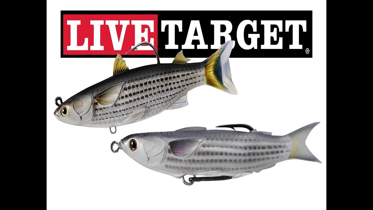 Inventive Fishing New Product Introduction: Live Target Soft Body ...