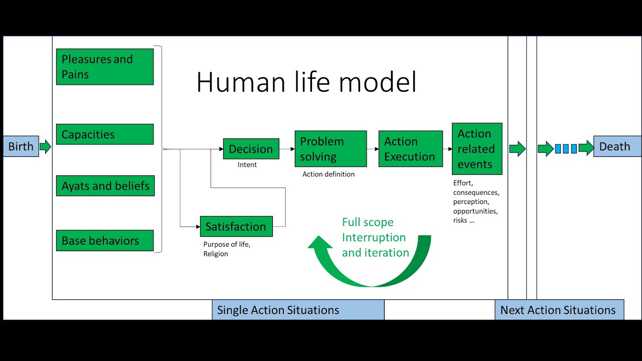 A complete human life model - sensations - vid4 - YouTube