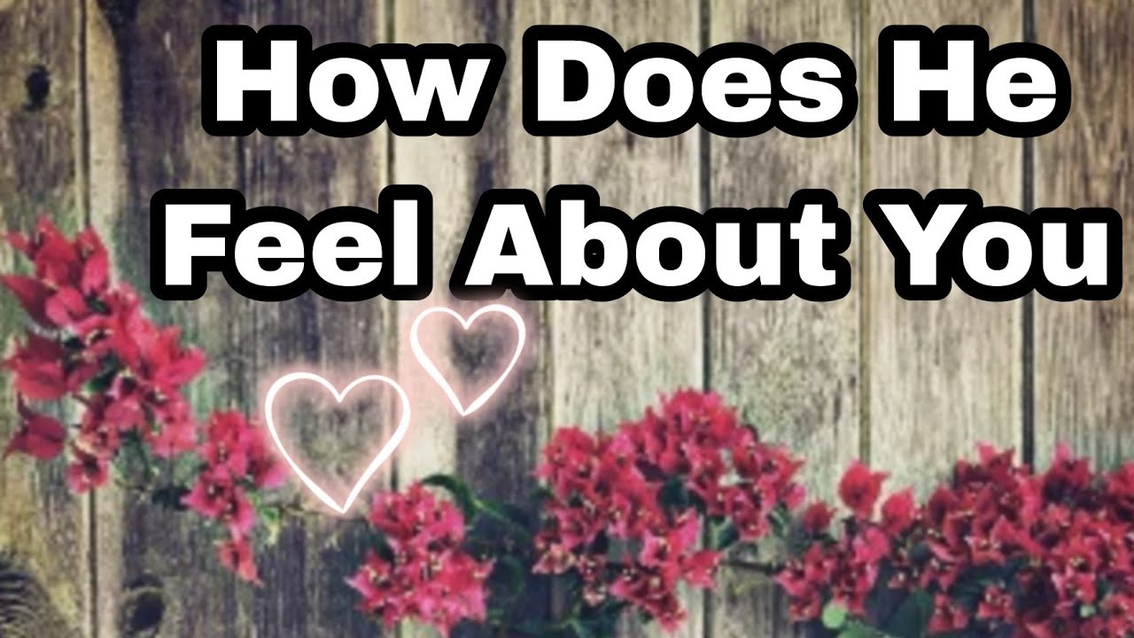 🌺HOW DOES HE FEEL ABOUT YOU🌺Pick a card tarot Reading. - YouTube
