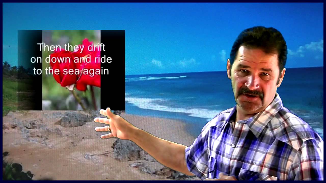 TWO TEARDROPS ~ Steve Wariner ~ Carl Holsher - YouTube