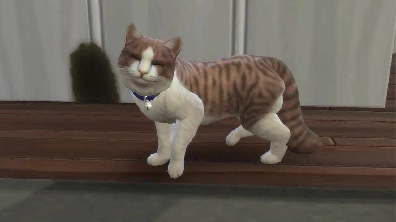 Cats & Dogs | Sims 4 (Part 60) - YouTube