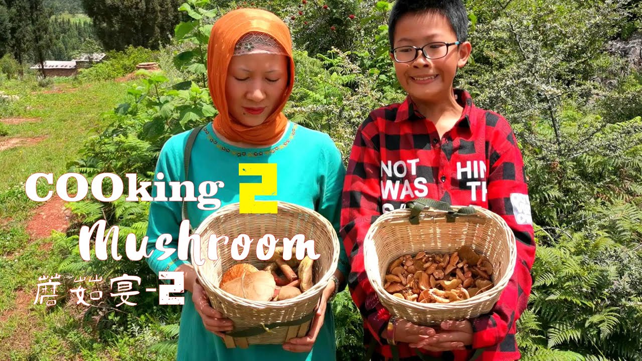 Mushroom feast【2】: Cooking Mushrooms|BEST Mushroom recipe HALAL【蘑菇宴-2 ...