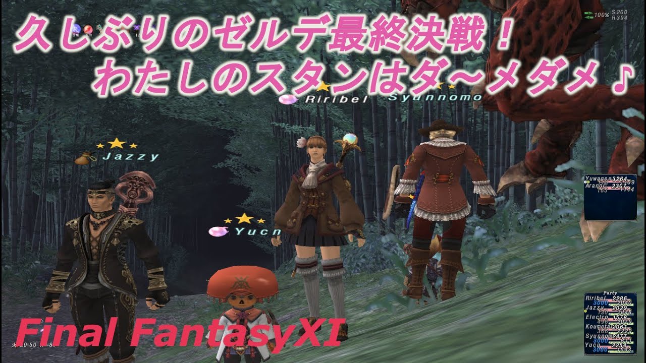 久しぶりのゼルデ最終決戦！わたしのスタンはダ～メダメ♪(FF11) The last battle of Zerde after along absence My stun is ...
