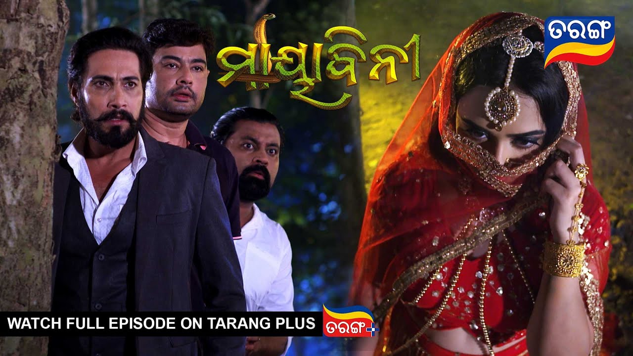 Mayabini | Ep 01 | 17th Oct 2022 | Best Scene | Odia Serial–TarangTV ...