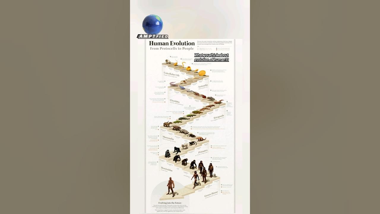 Human Evolution From Protocells To People What Do You Think About