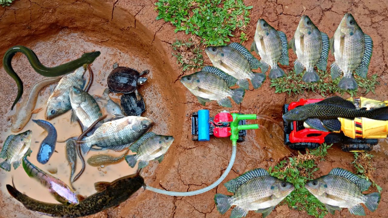 Catch fish using mini water pump | fishing exciting | diy tractor ...