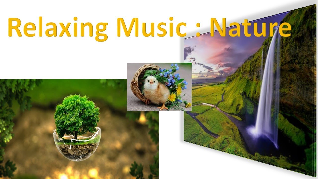 relaxing nature music 2021 / calming nature music - YouTube