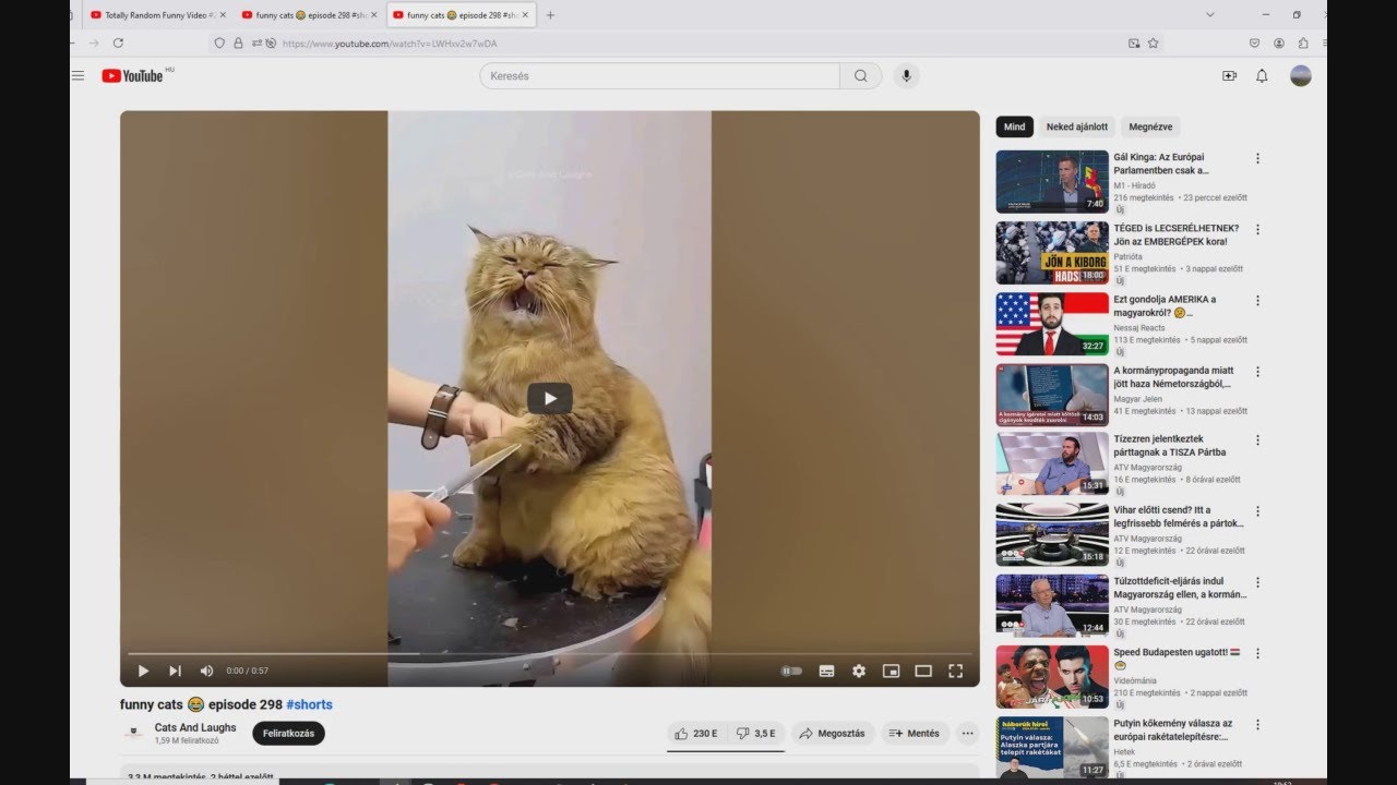 Youtube Shorts videók teljes képernyős beállításának trükkje - YouTube