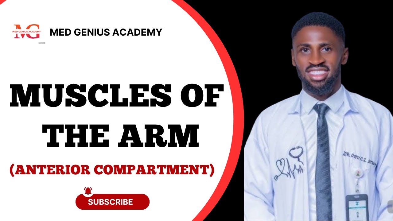 Muscles of the Arm (Anterior Compartment) with Mnemonics | Anatomy ...
