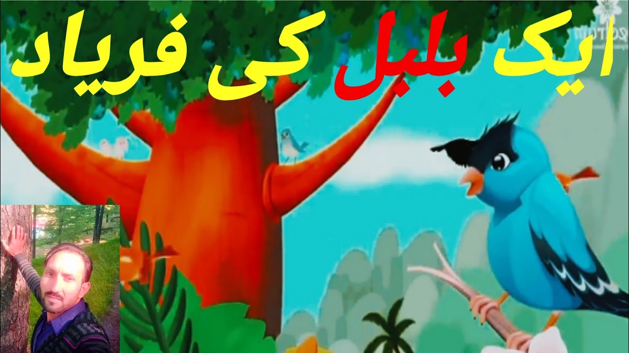 cartoon,cartoons,cartoons, for kids,kids cartoon,funny cartoon for kids ...