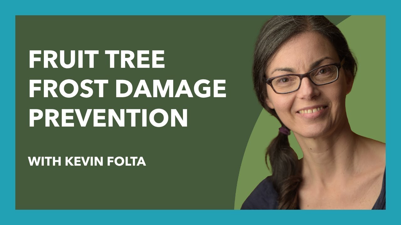 Preventing Frost Damage on Fruit Trees with Kevin Folta (EPS #90) - YouTube