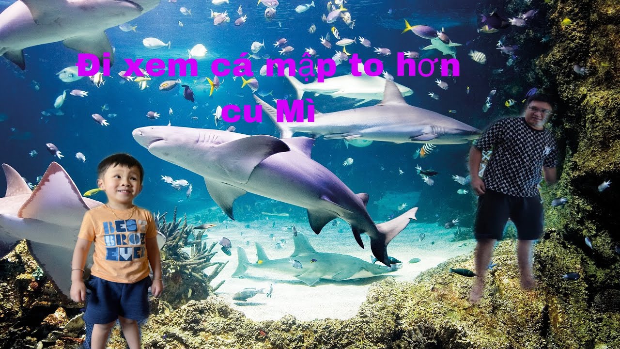 DI XEM CA MAP O SHOPPING MALL TO NHAT NUOC MY - YouTube