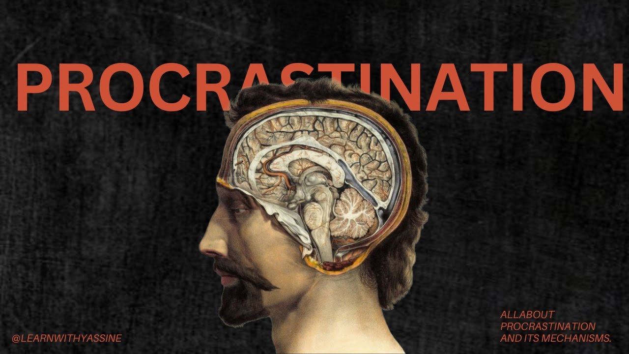 Procrastination: The Mechanism of the Procrastinator - YouTube